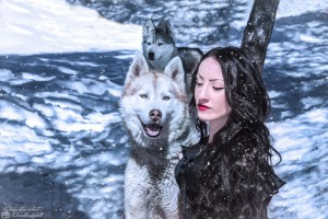 [Photo] La magie du husky sibérien sous le neige