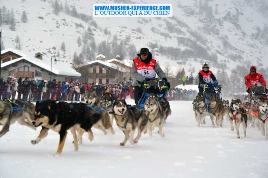 Liste de célèbres Courses de Chiens de Traîneau dans le monde