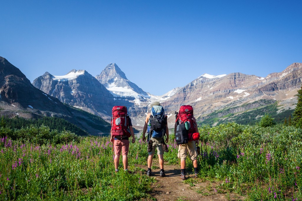 8 choses qui vont changer en vous grâce à la cani-rando