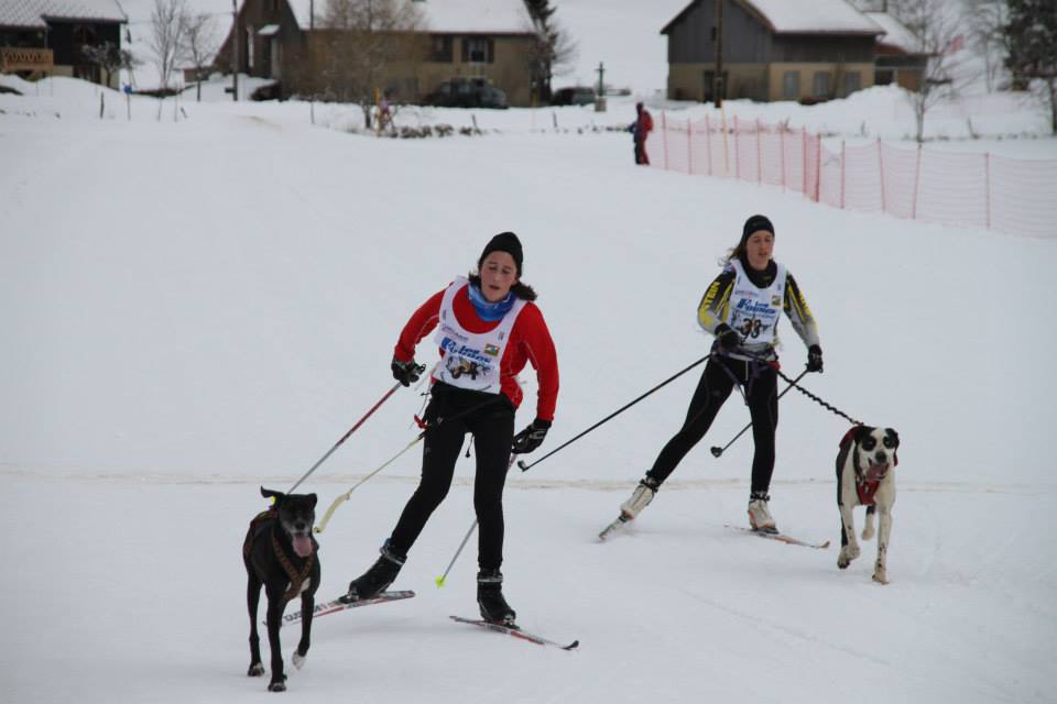 Faire du ski joering avec son chien