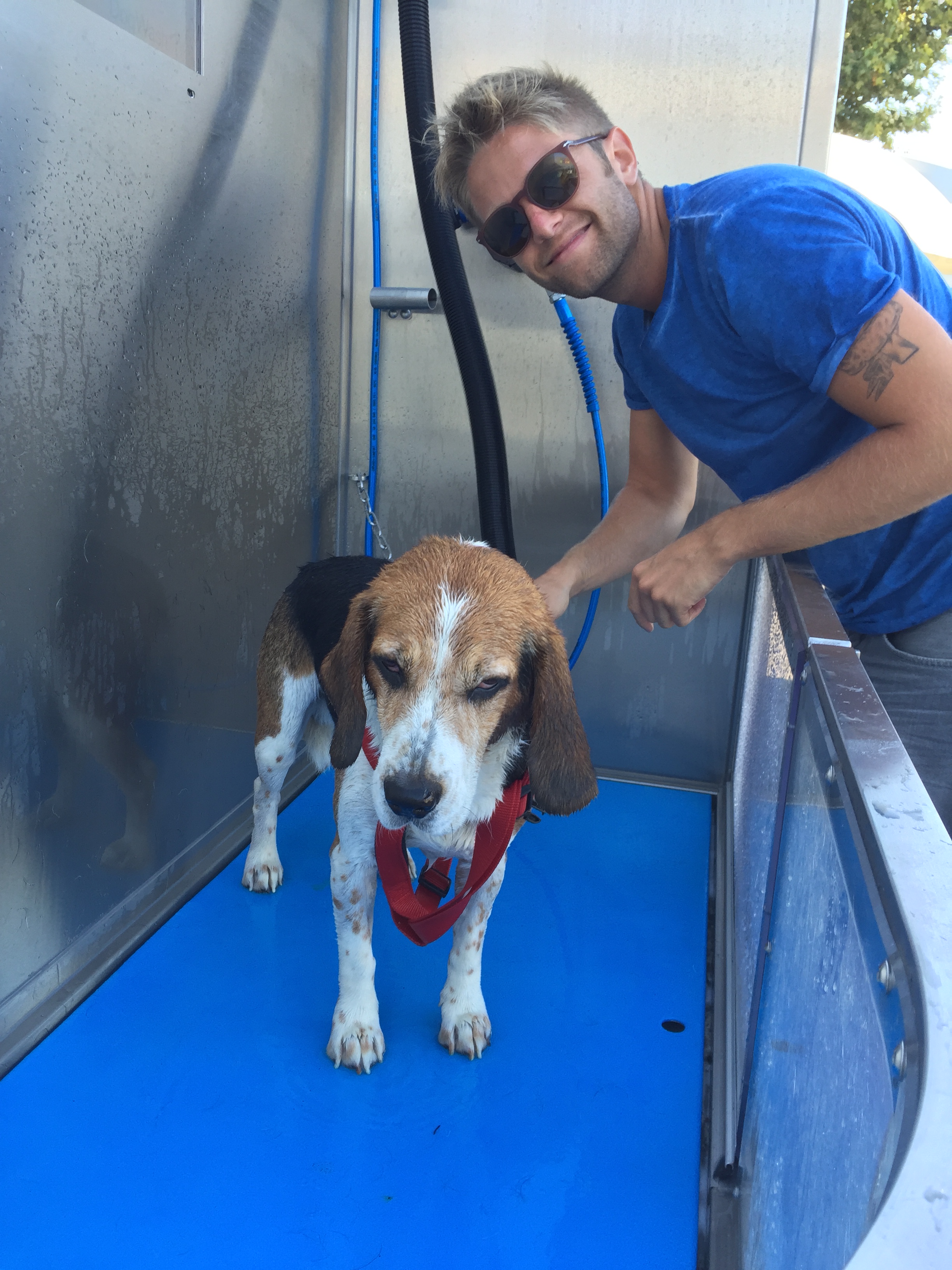 Laver son chien en libre service: la station lavage pour chien existe