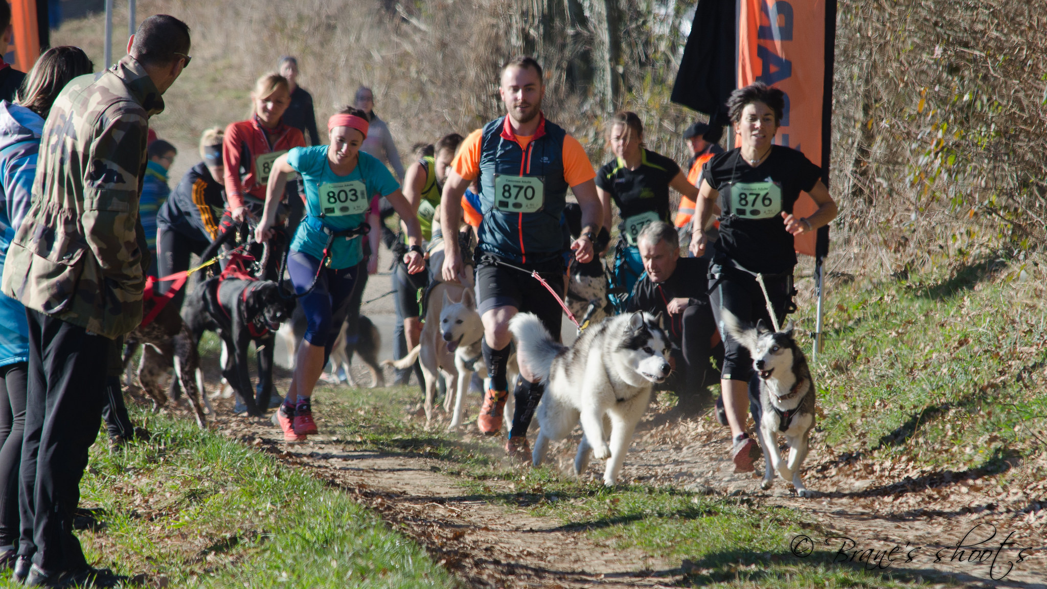 Equipement canicross, matériel canicross - Equipement et conseils ...