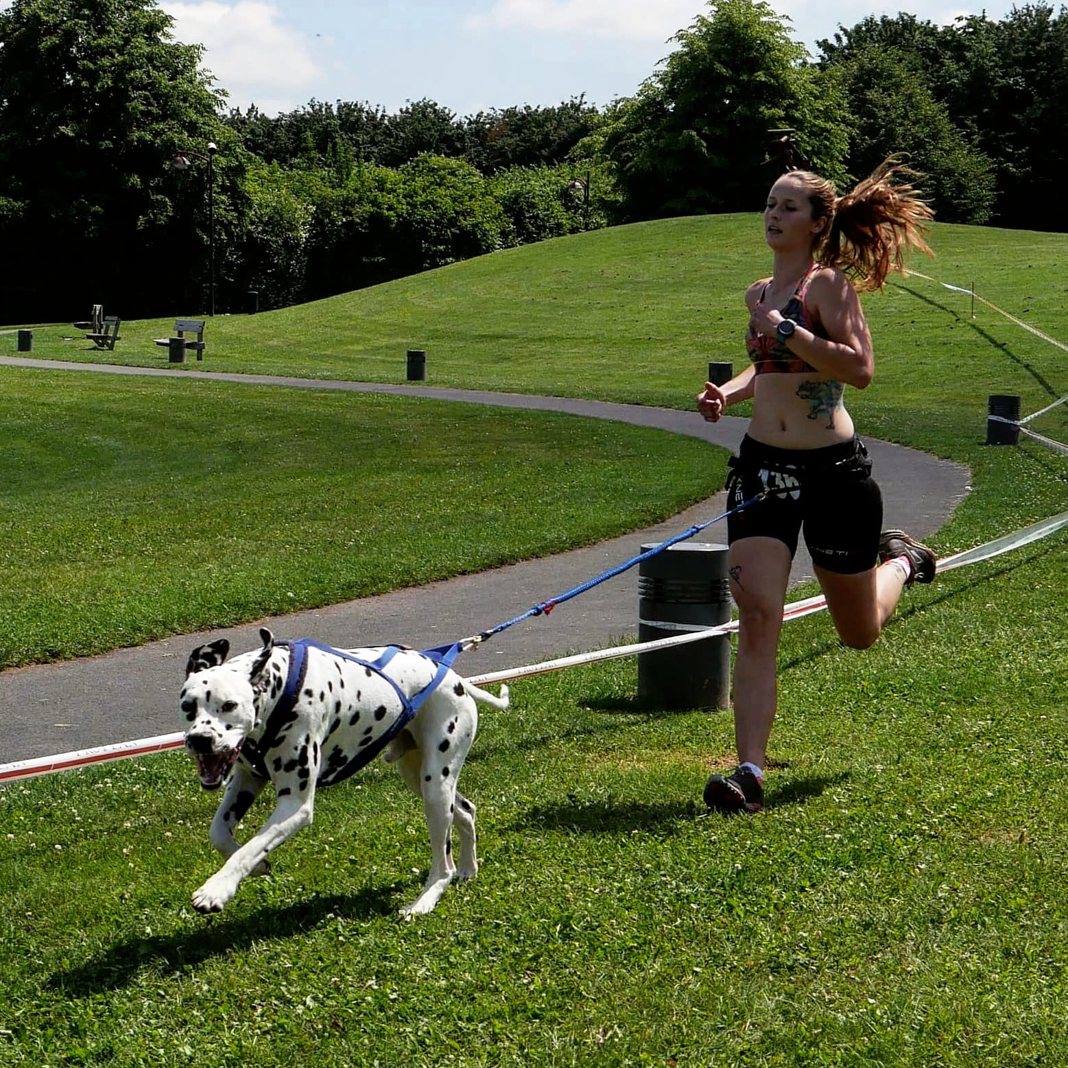 Canicross, bien débuter: matériel, entrainement, calendrier