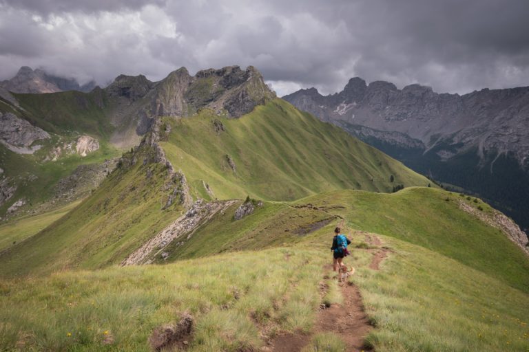 Canitrail: c'est quoi? comment se préparer?