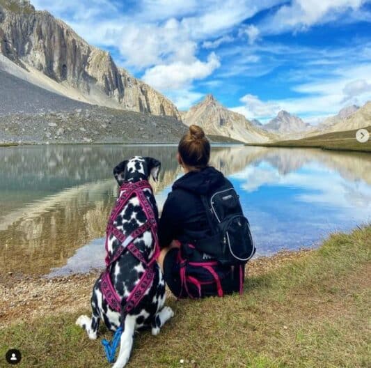 Comment choisir le Harnais X Back idéal pour votre chien