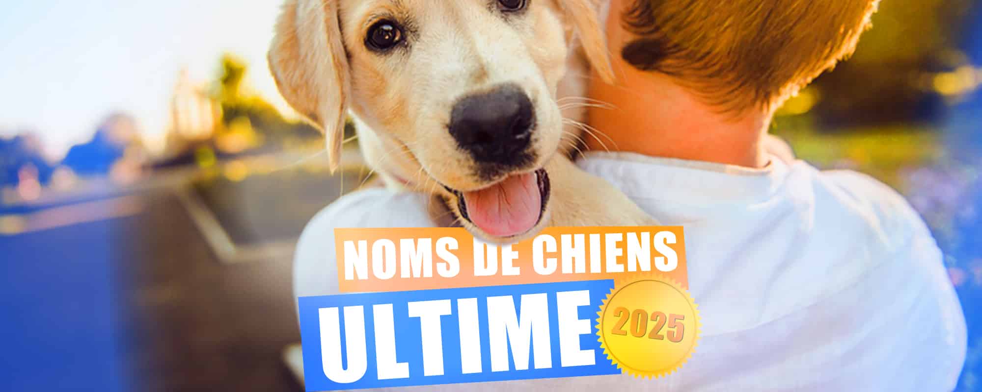 2025 : Nom de Chien en A - La compilation Ultime